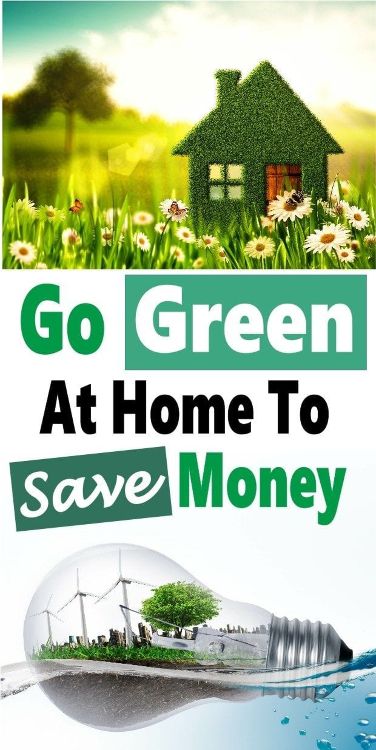 Going Green at Home: 8 things you can do to protect the planet - SERC