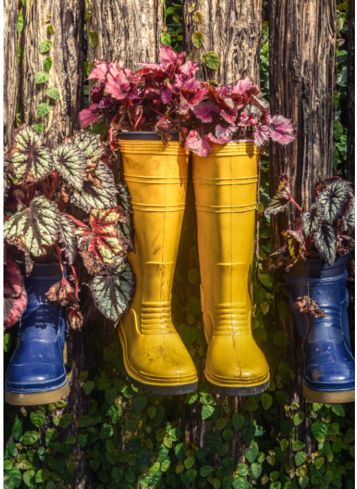 A Beginner's Guide To Upcycling - SERC