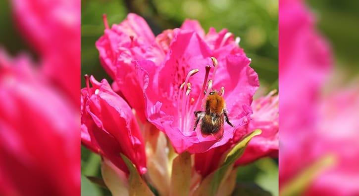 Colm Finds Success After Completion of Photography Course - SERC