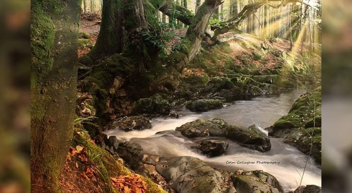 Colm Finds Success After Completion of Photography Course - SERC