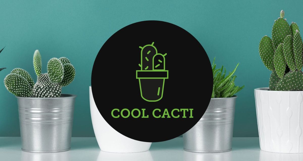 Cool Cacti - SERC