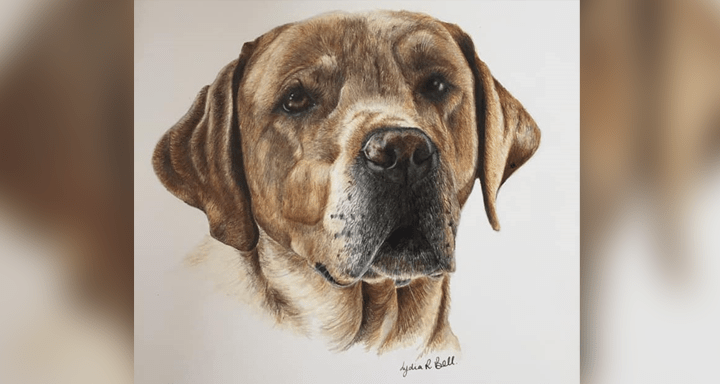 Lydia Bell Art - SERC