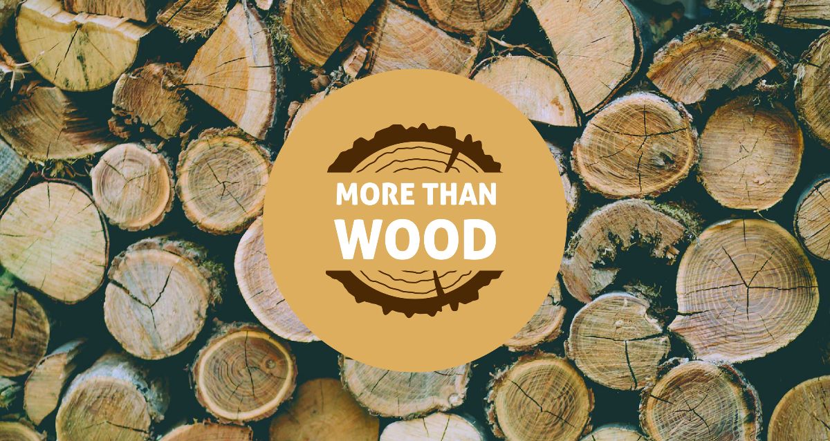 More Than Wood - SERC